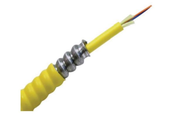 Singlemode Armored Trunk Assemblies | iFiber Optix